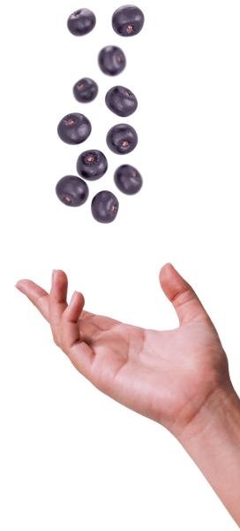 Açaí Zero Frooty (200g) - Açaí Berry Zero Frooty (200g) – Brazuka Meat